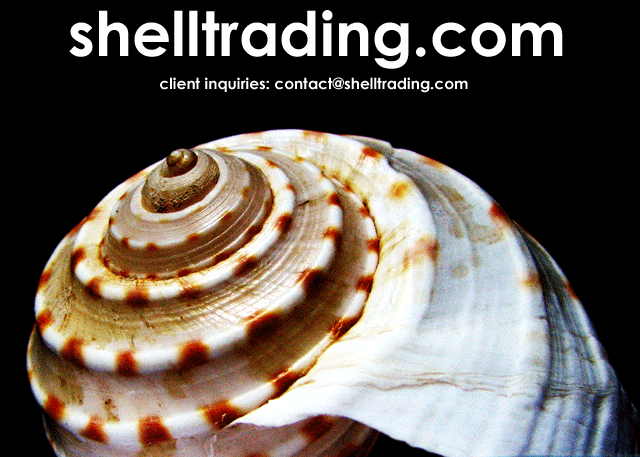 Welcome to ShellTrading.com